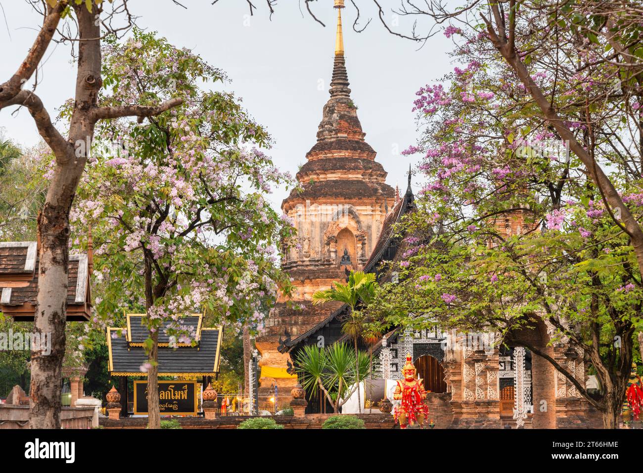 Framed by pink blossom on trees,housing royal ashes of several Kings ...