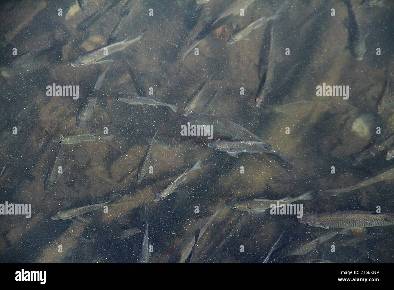 Fish creek mountain hi-res stock photography and images - Alamy