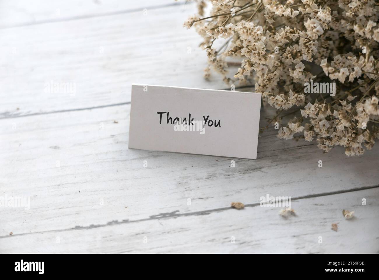 Thank you script font hi-res stock photography and images - Alamy