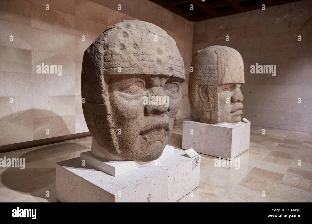 Colossal olmeca head hi-res stock photography and images - Alamy