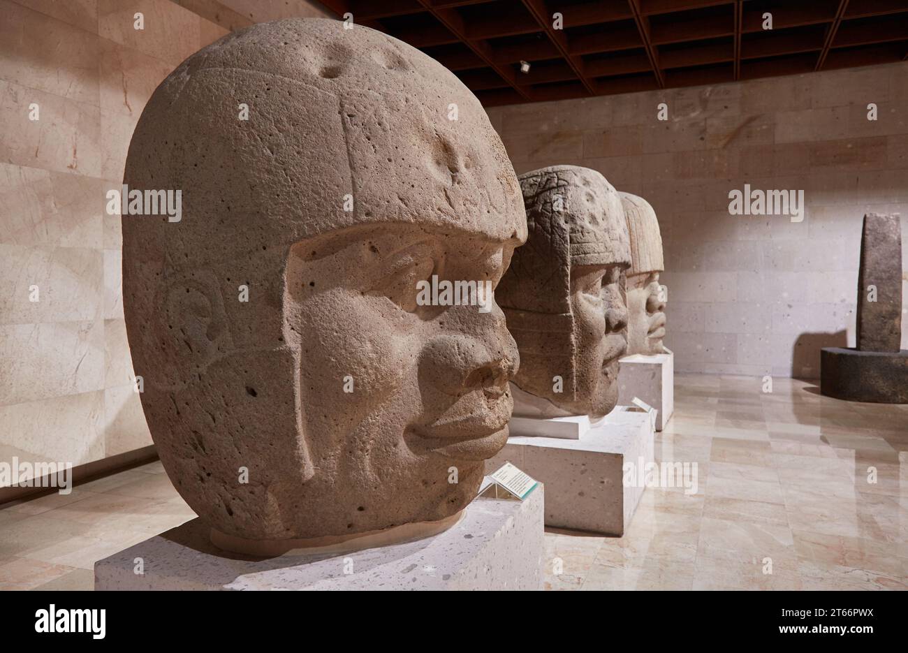 Colossal Olmec Heads at the Xalapa Museum of Anthropology Stock Photo ...
