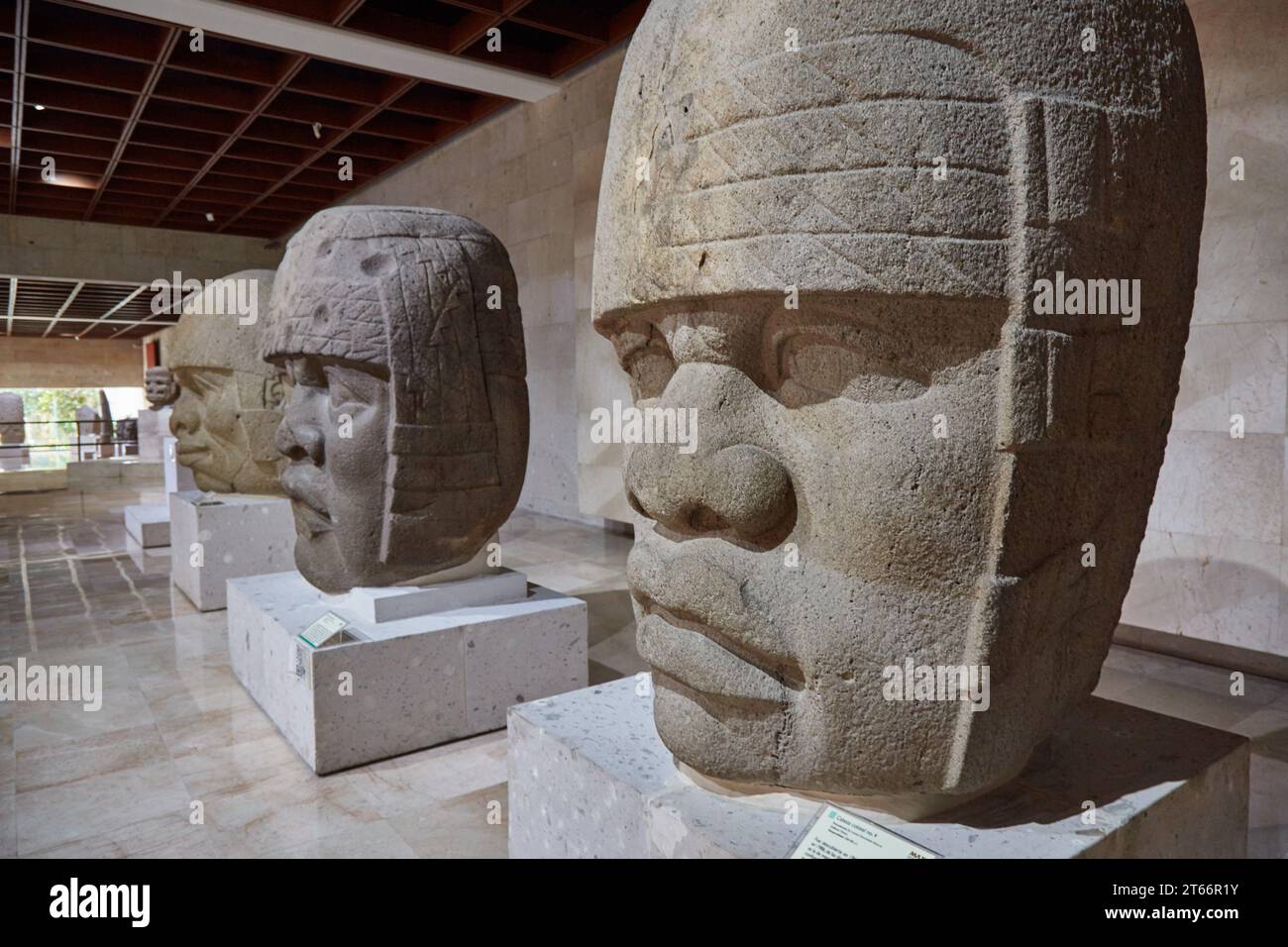 Colossal Olmec Heads at the Xalapa Museum of Anthropology Stock Photo - Alamy