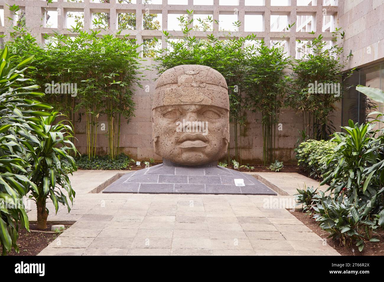 Colossal olmeca head hi-res stock photography and images - Alamy