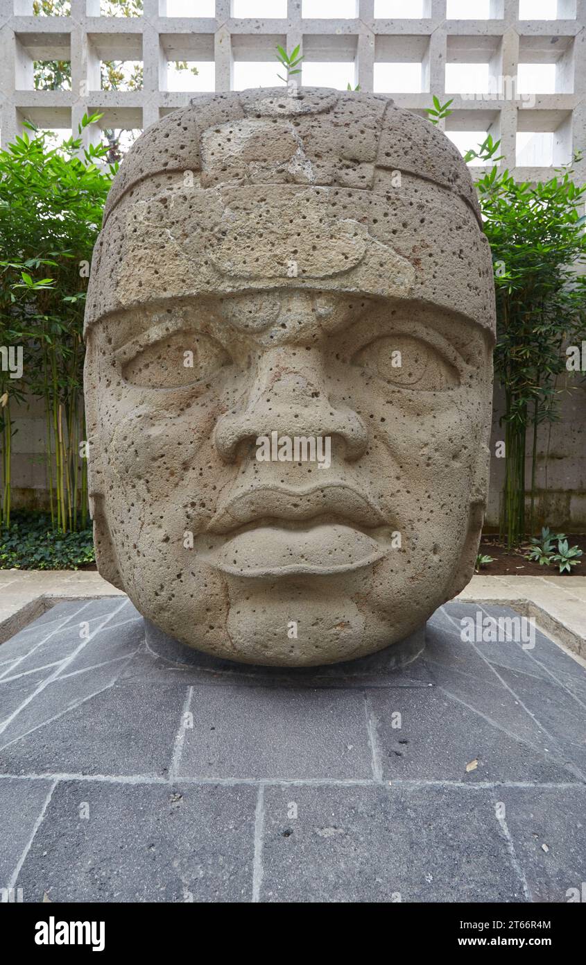 Colossal Olmec Heads at the Xalapa Museum of Anthropology Stock Photo ...