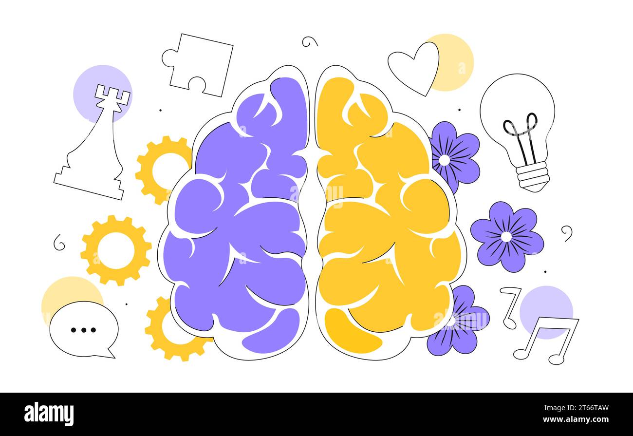 Two brain sides vector concept Stock Vector Image & Art - Alamy