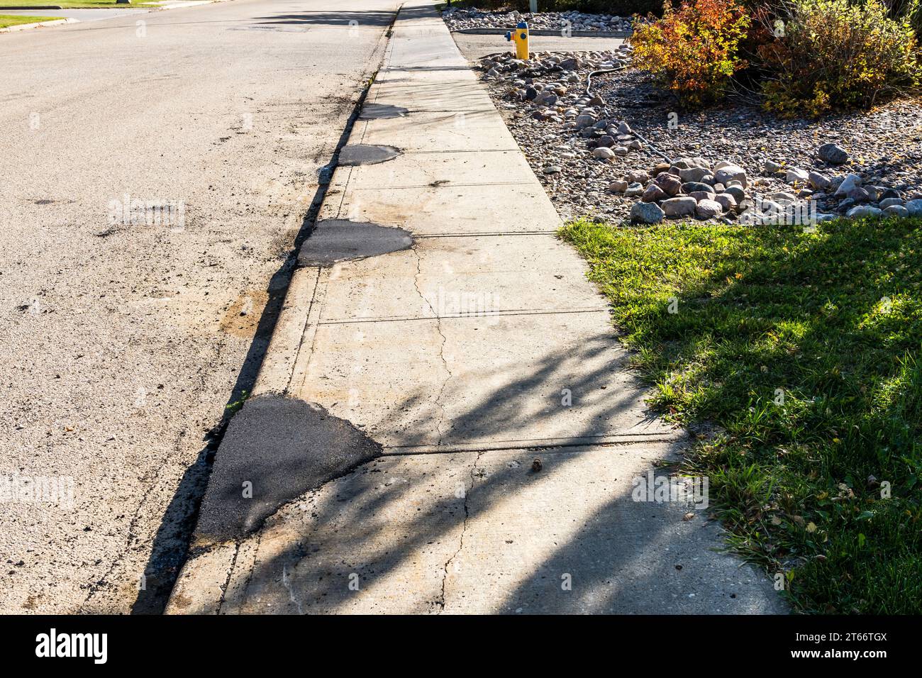 Concrete sidewalk repair with multiple asphalt patching Stock Photo - Alamy