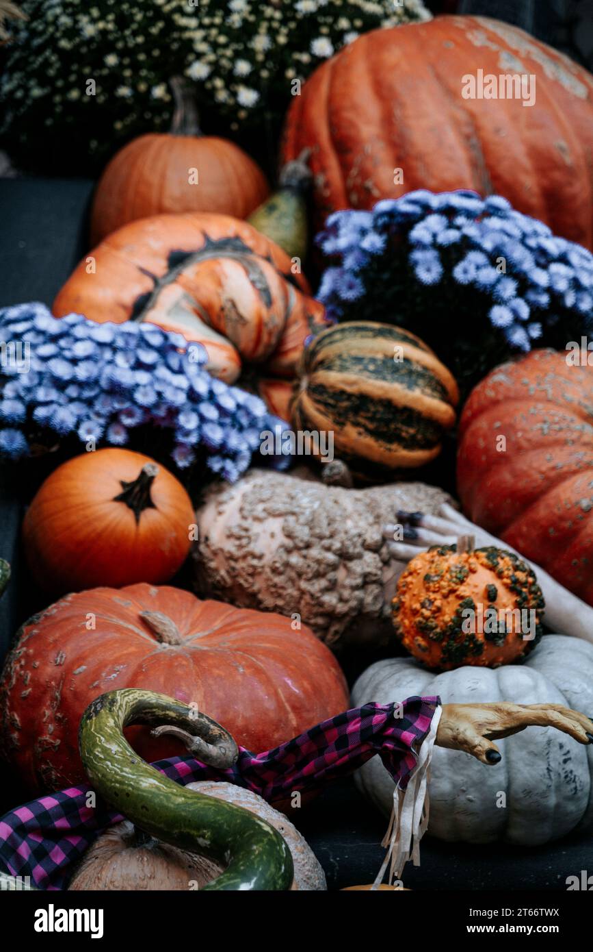 Fall Still Life with pumpkins on a front of the house against colorful ...