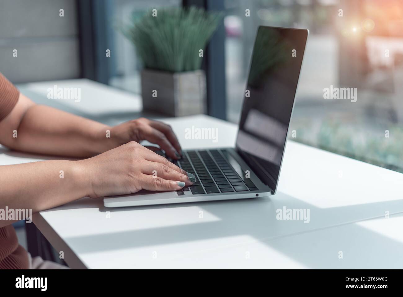 Hand Woman Using Laptop Computer for Business Technology Creative ...