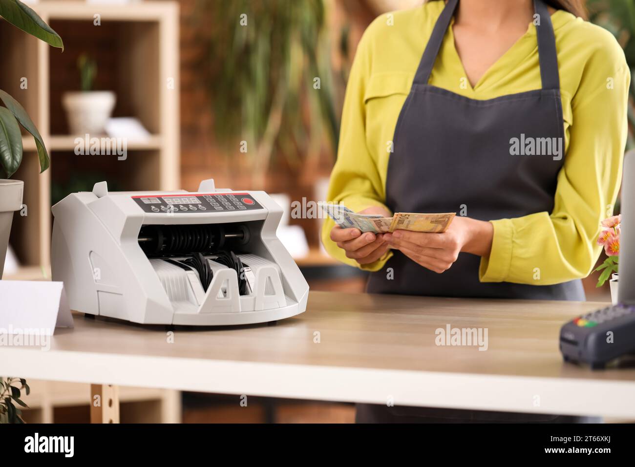Female cashier counting money。 hi-res stock photography and images - Alamy