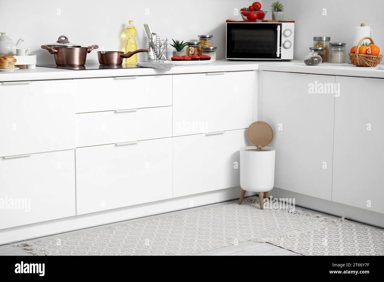 Interior of modern kitchen with stylish rug, trash bin and white ...