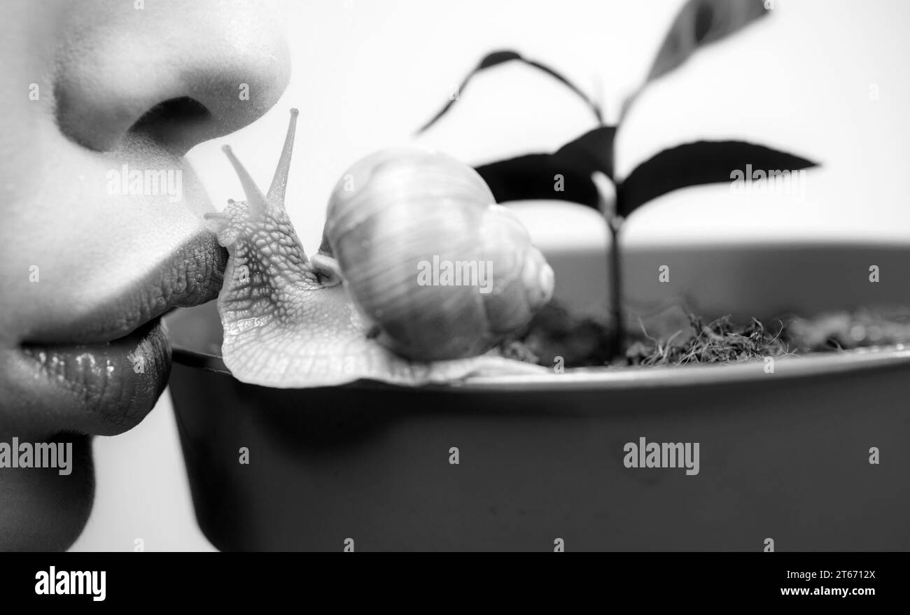 Healing Mucus Having Fun With Adorable Snail Spa And Wellness Cosmetics And Snail Mucus