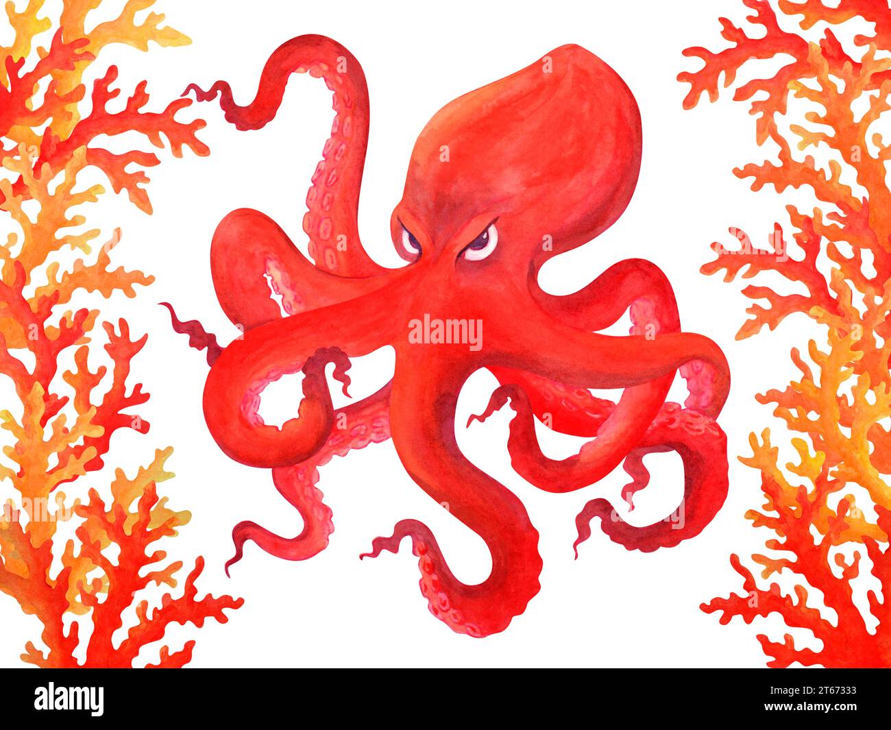 A red angry cartoon octopus between the corals looks from under its ...