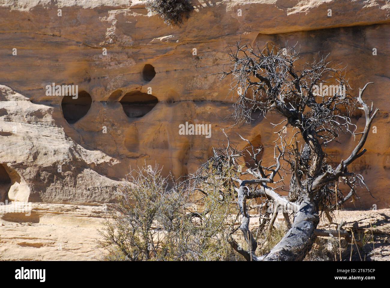 Rugged rock faces in a Utah canyon show the effects of weathering as ...