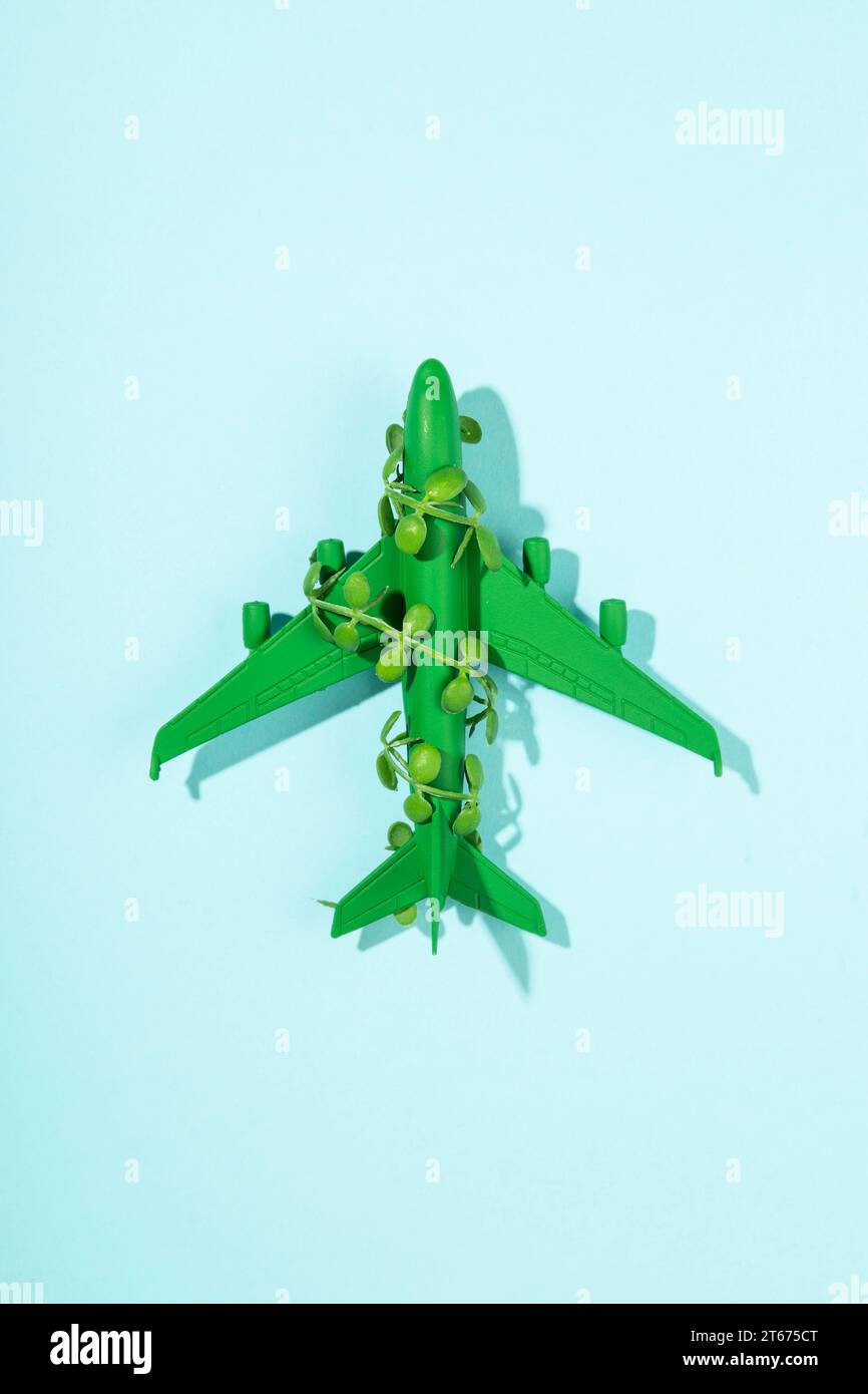 Sustainable aviation concept - green plane Stock Photo - Alamy