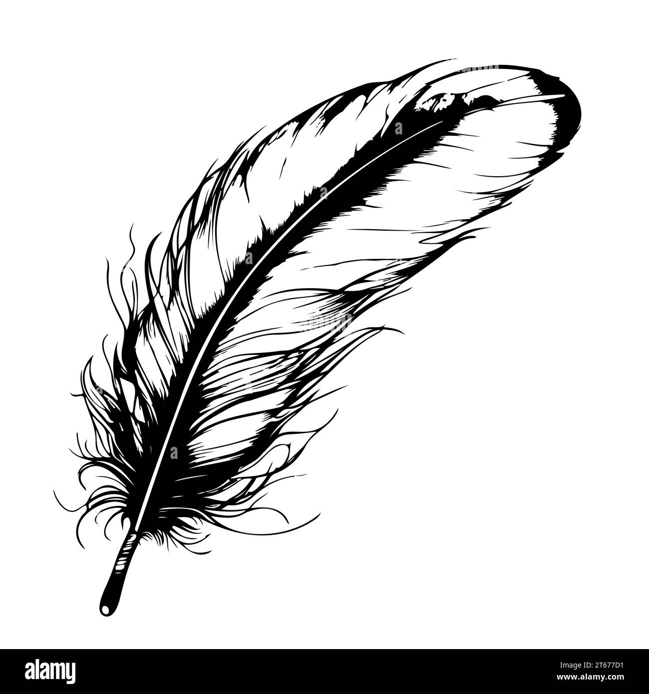 Decorative bird feather in simple style. sketch vector hand drawn ...