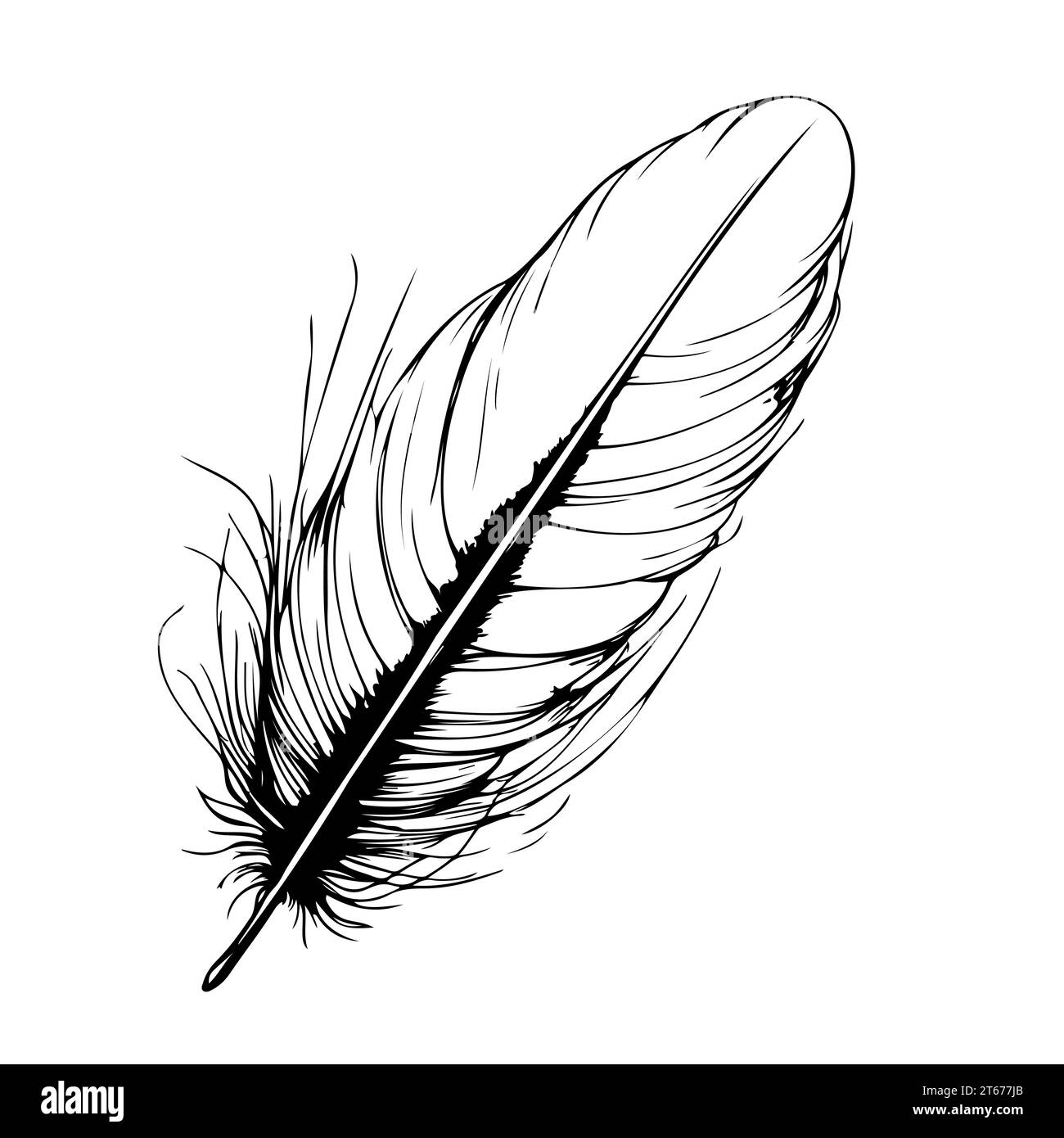 Decorative bird feather in simple style. sketch vector hand drawn ...