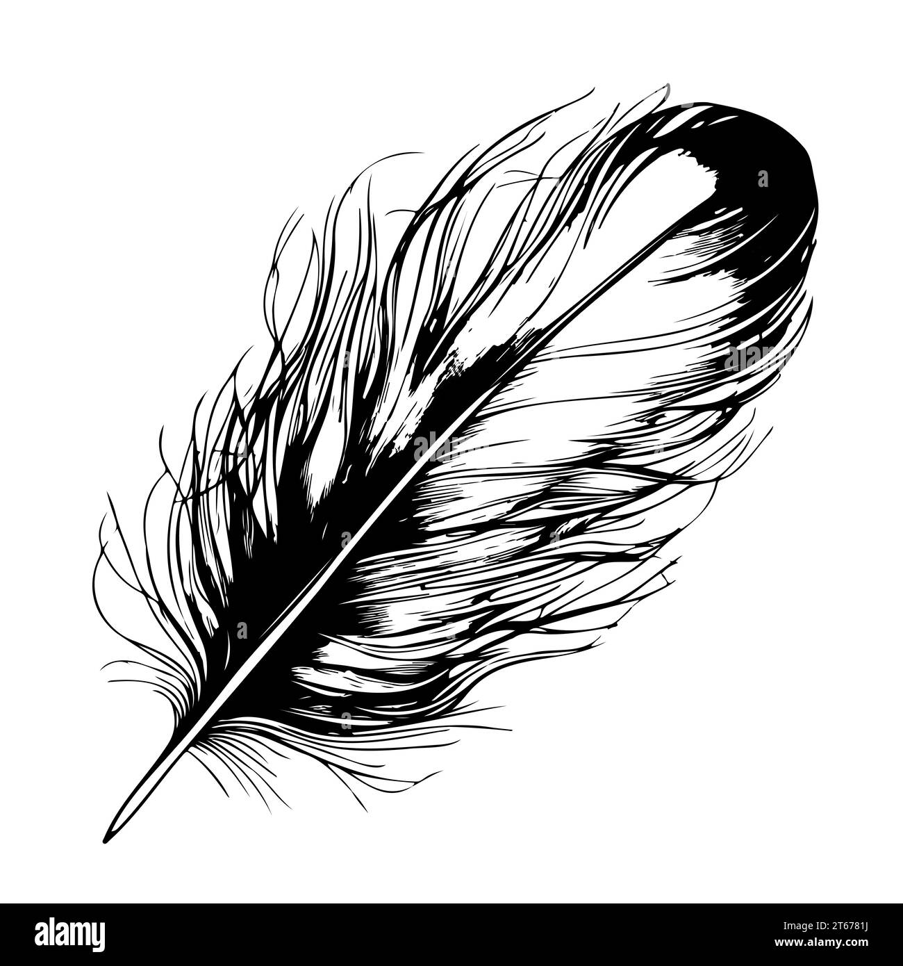 Decorative bird feather in simple style. sketch vector hand drawn ...