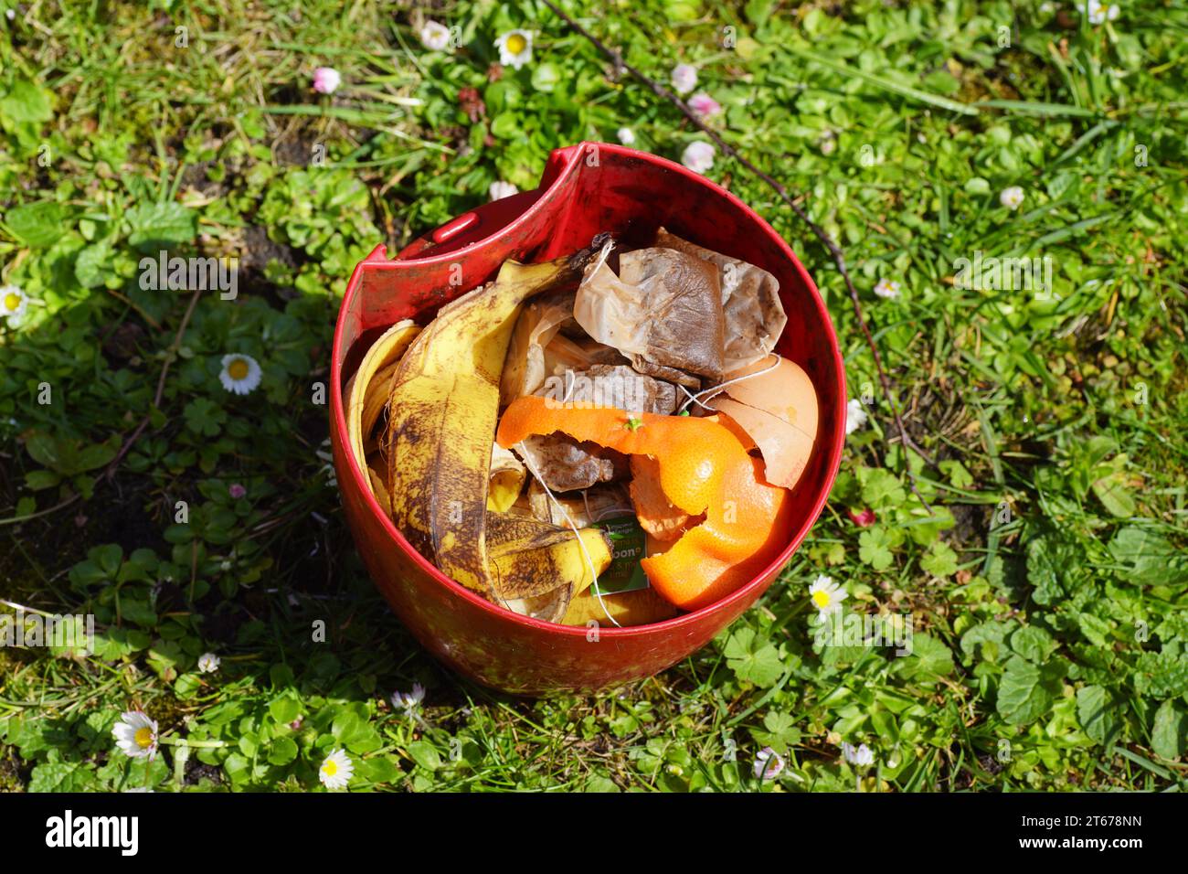 Red kitchen compost bin with kitchen waste such as egg shells, mandarin ...