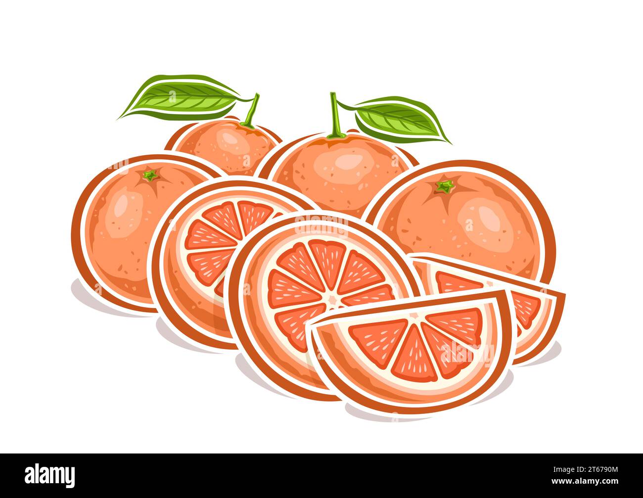 Vector logo for Grapefruits, decorative horizontal poster with cartoon ...