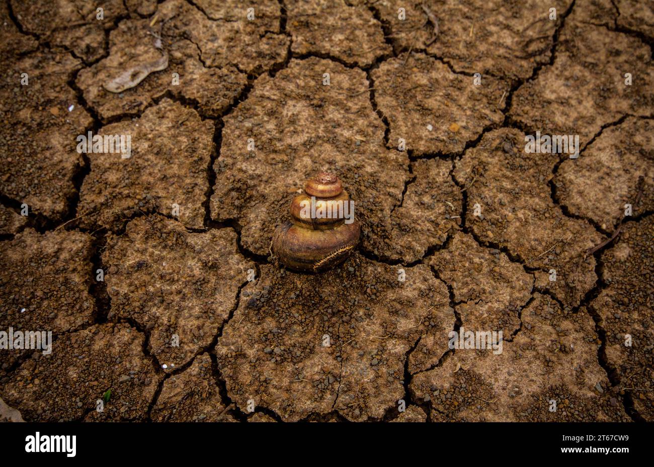 Drought. The water evaporated and the bottom of the reservoir cracked ...