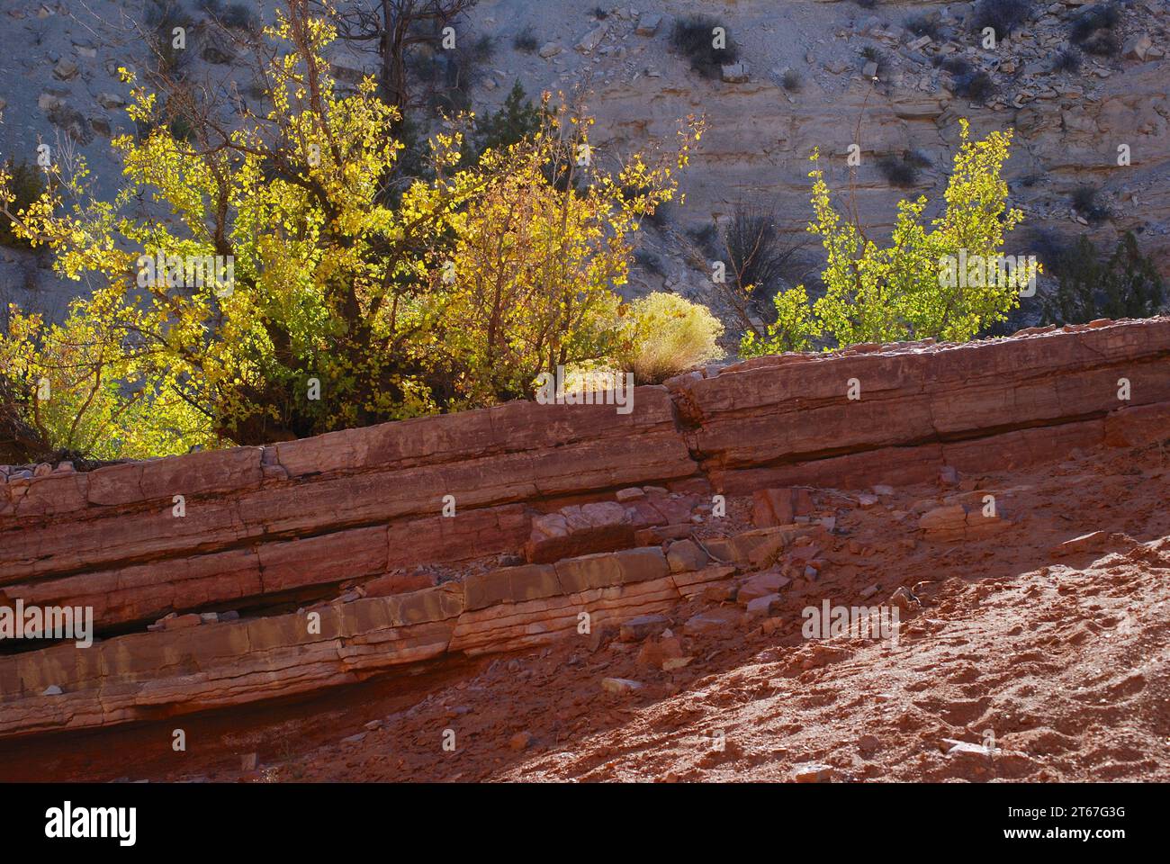 Slanted rock ledge in Little Wild Horse Canyon Stock Photo - Alamy