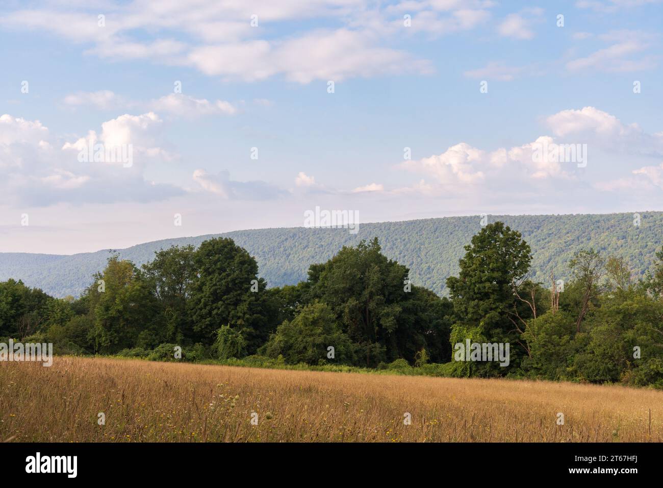 The Hinchcliff Family Perserve in the Finger Lakes Stock Photo - Alamy