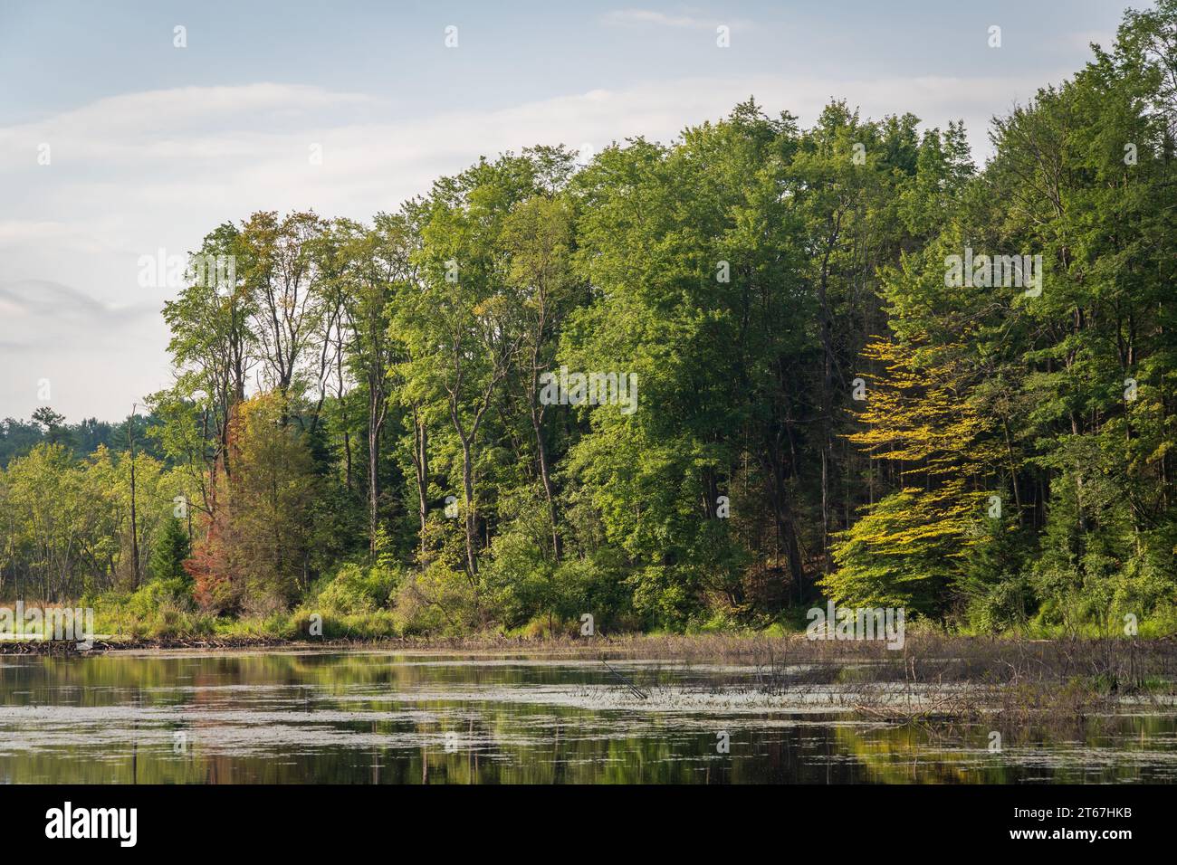 Hinchcliff Family Preserve in the Finger Lakes Stock Photo - Alamy