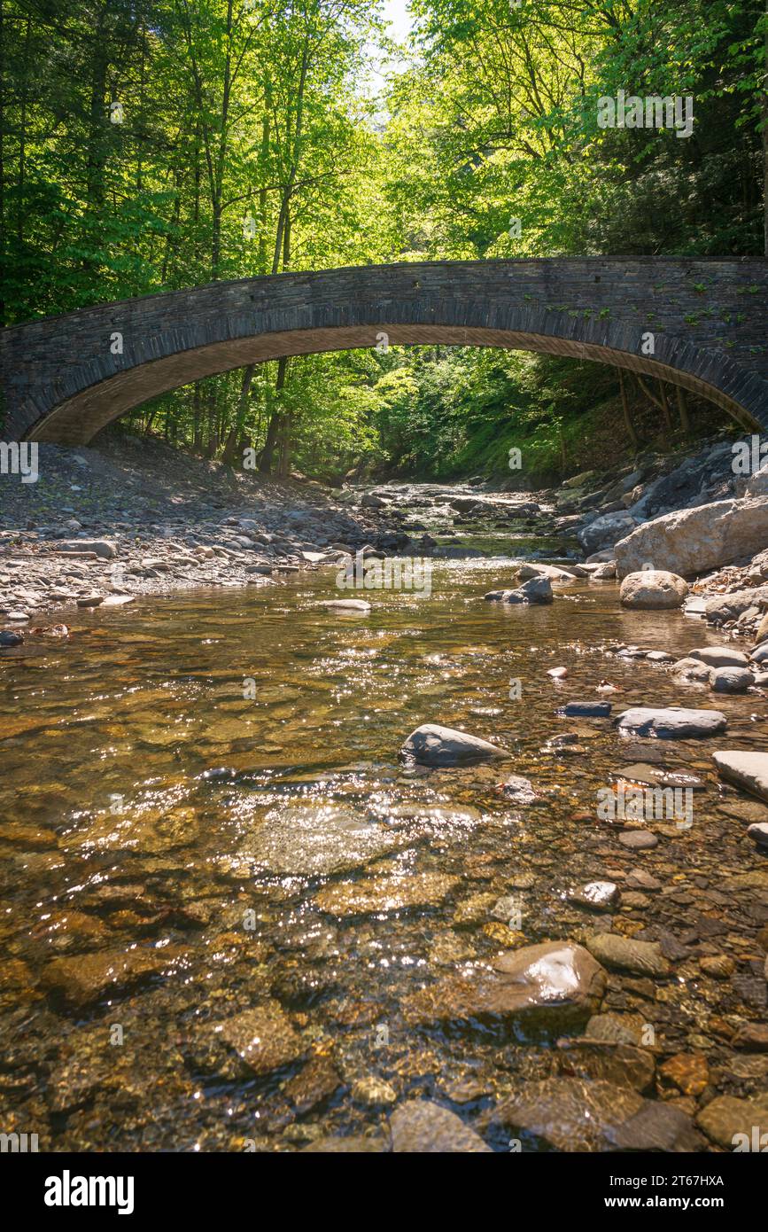 Bridge at President Fillmore's Birth Place at Fillmore Glen State Park ...