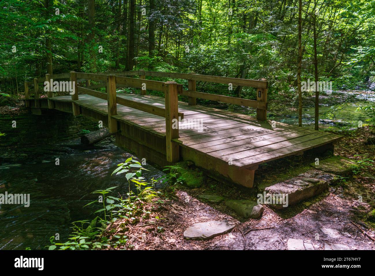 Bridge at President Fillmore's Birth Place at Fillmore Glen State Park ...