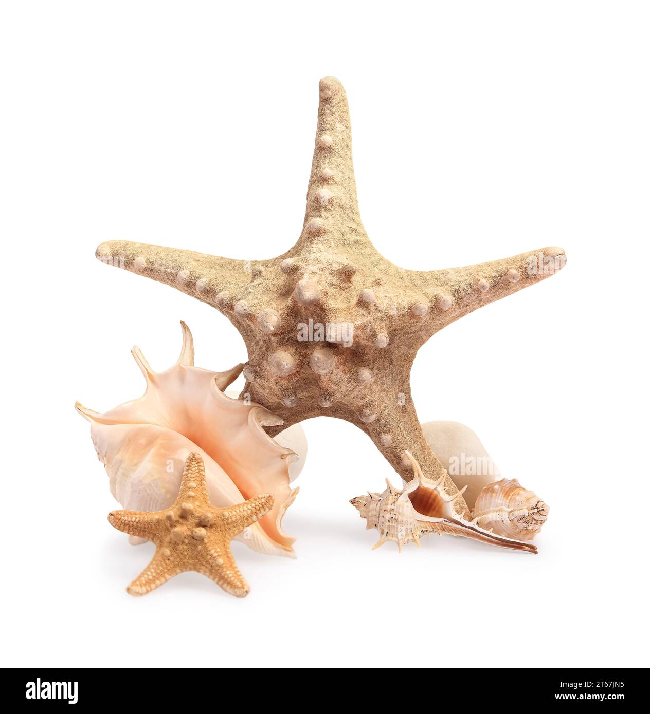 Beautiful sea stars, stones and seashells isolated on white Stock Photo ...