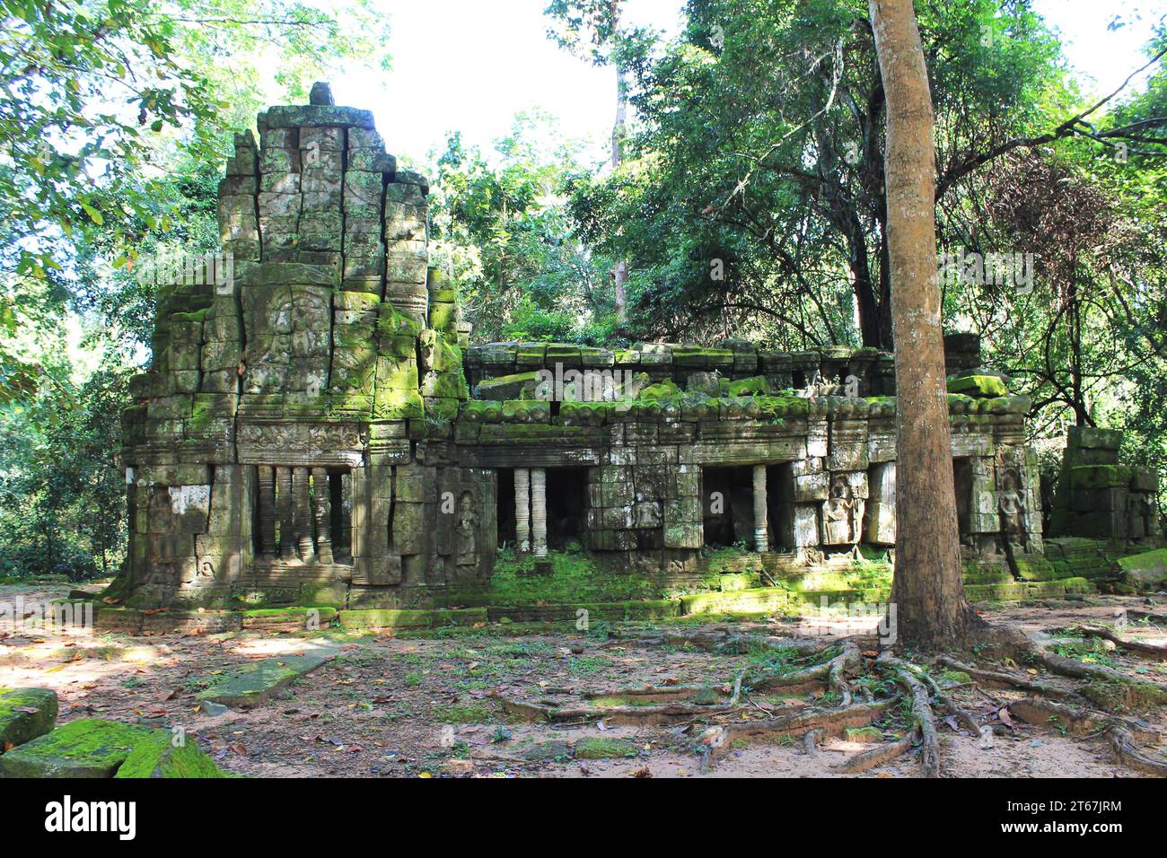Ancient stone temple among the trees at Angkor Archaeological Park ...