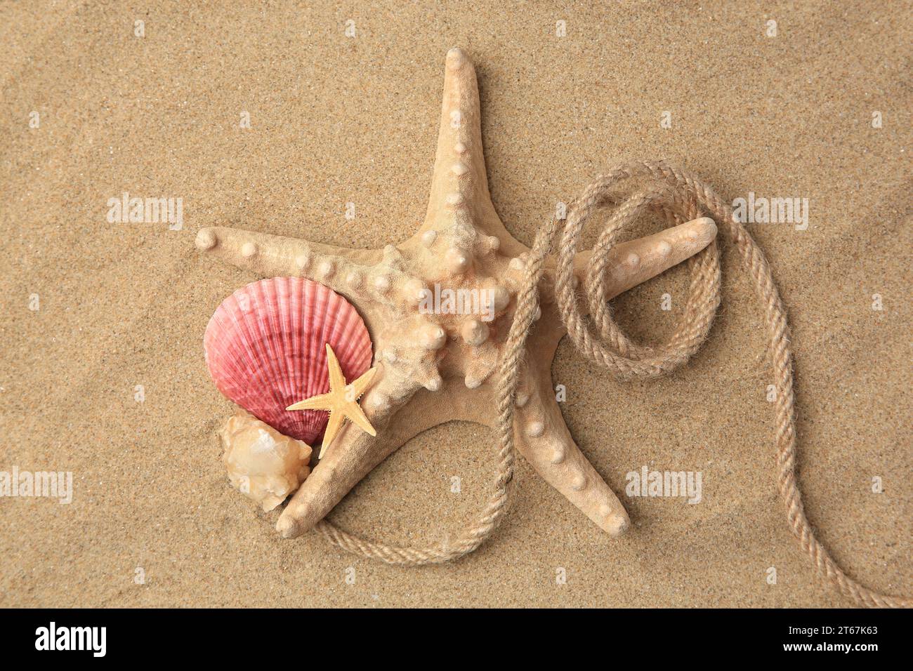 Beautiful starfishes, sea shells and rope on sand, flat lay Stock Photo ...