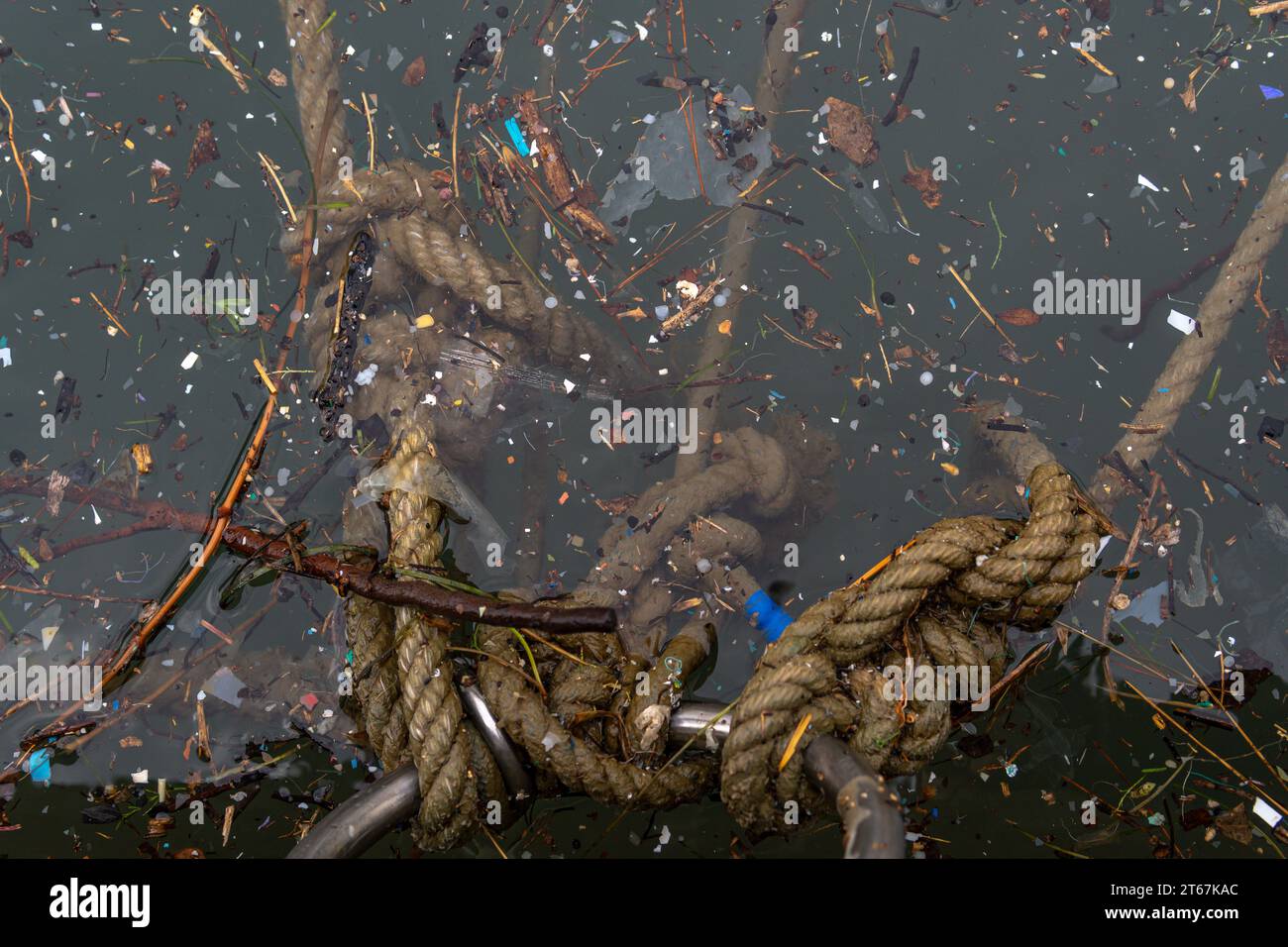Plastic bloom hi-res stock photography and images - Alamy