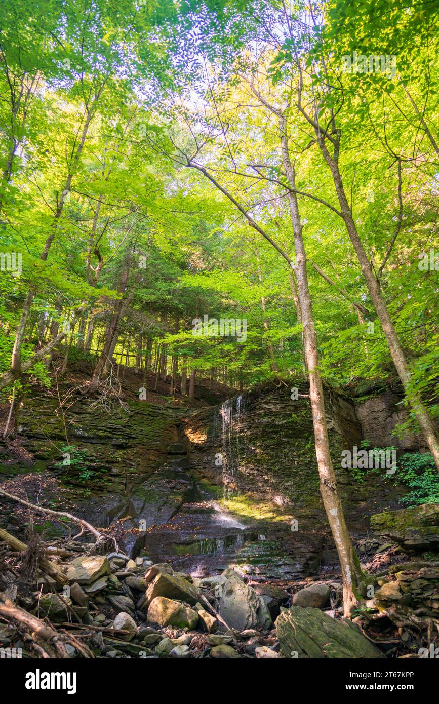 Secluded Waterfall in the Finger Lakes of Upstate New York Stock Photo ...