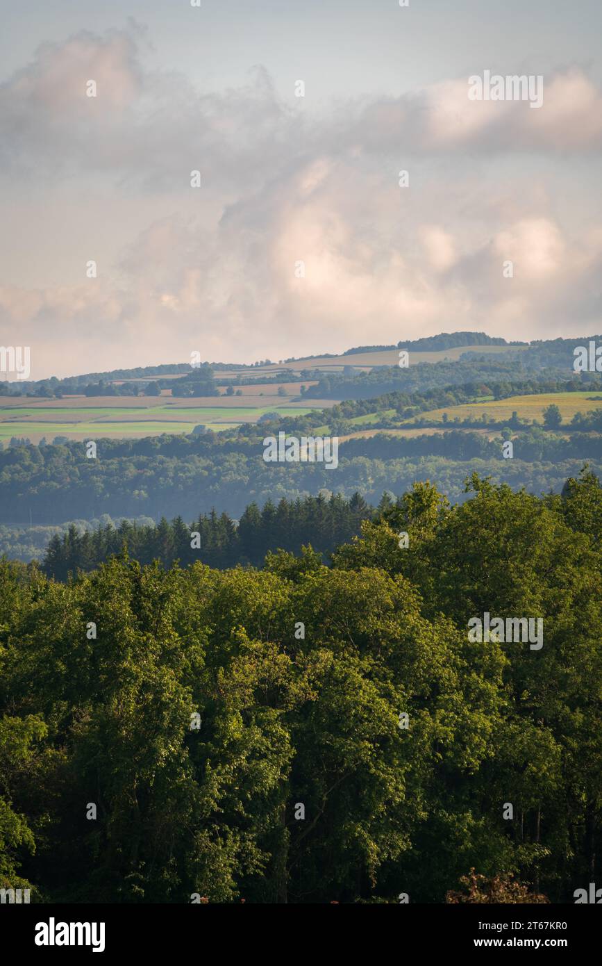 The Hinchcliff Family Preserve in Upstate New York Stock Photo - Alamy