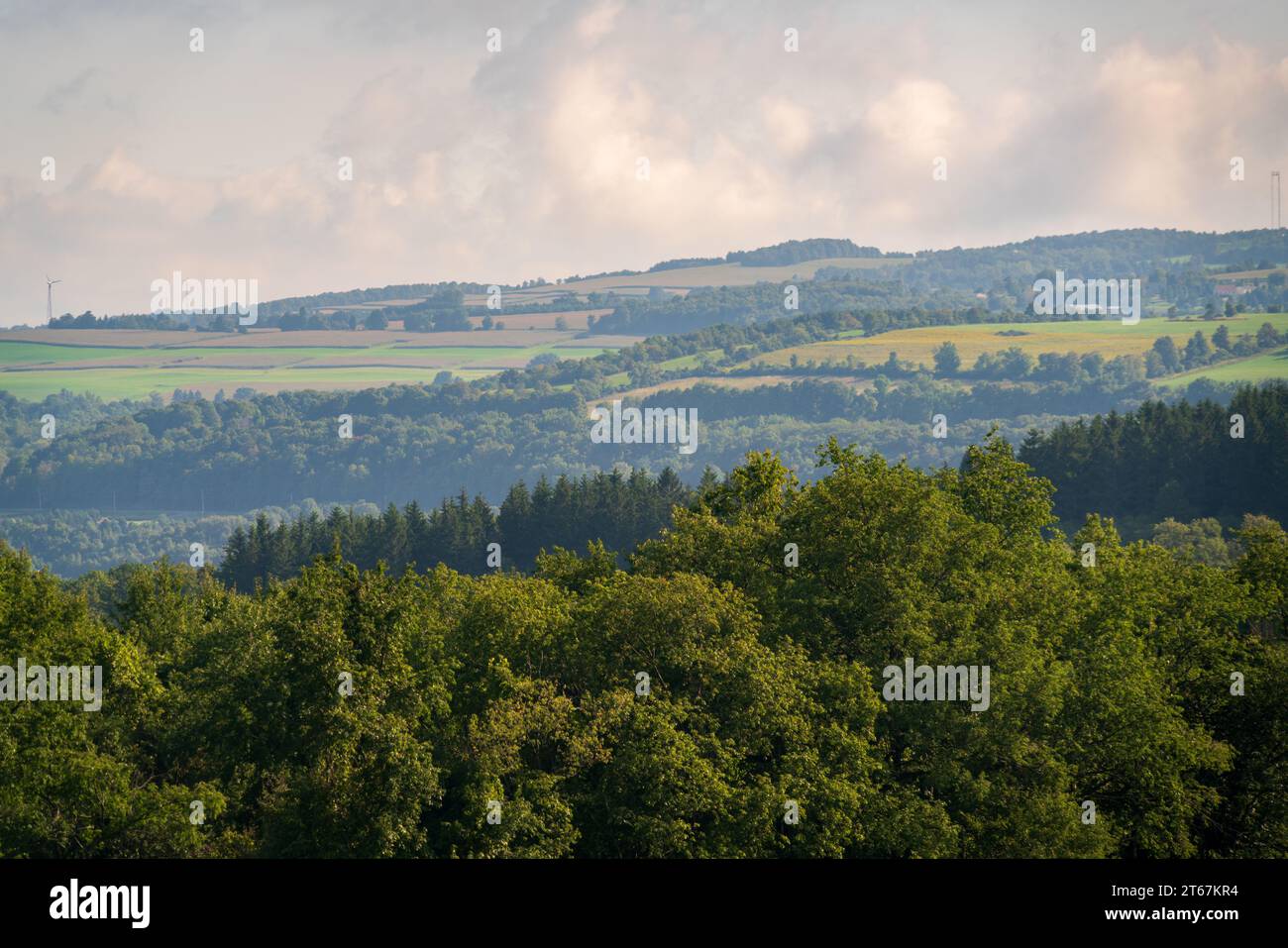 The Hinchcliff Family Preserve in Upstate New York Stock Photo - Alamy