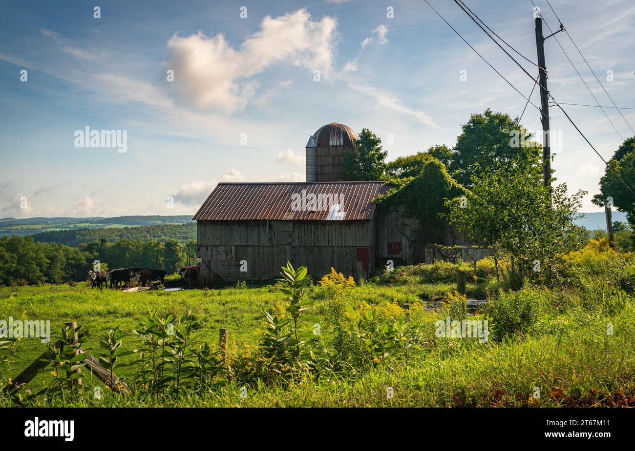 Rural Farm in The Finger Lakes region of central NY Stock Photo - Alamy