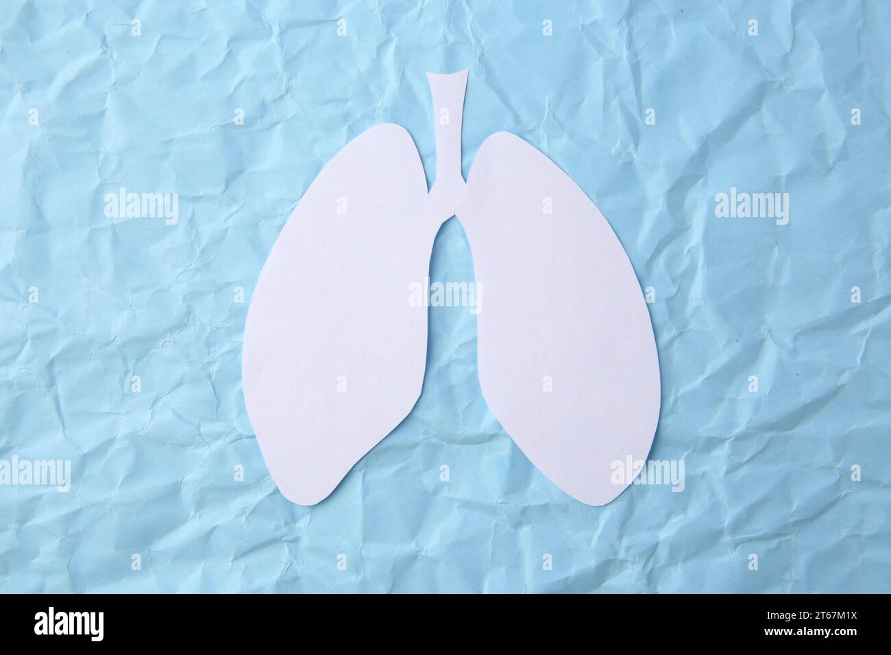 Paper in shape of human lungs on light blue crumpled background, top ...