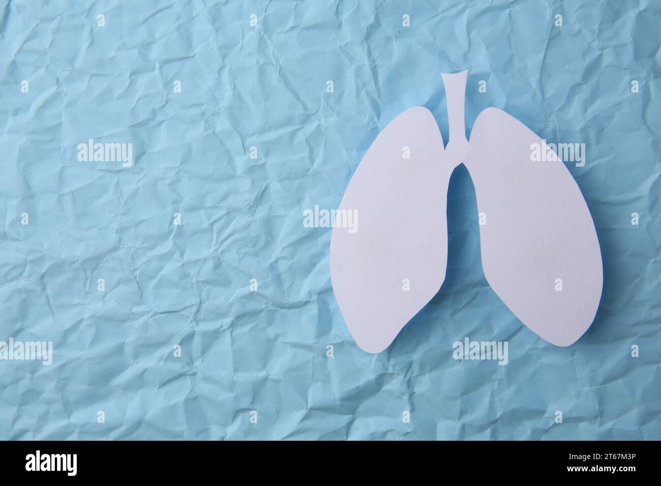 Paper in shape of human lungs on light blue crumpled background, top ...