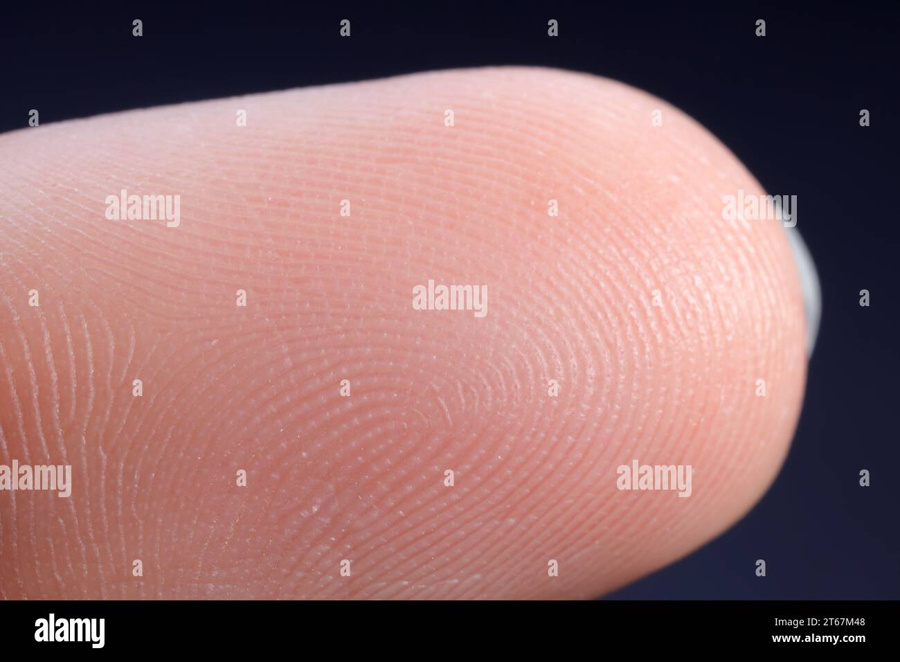 Finger with friction ridges on dark background, macro view Stock Photo ...