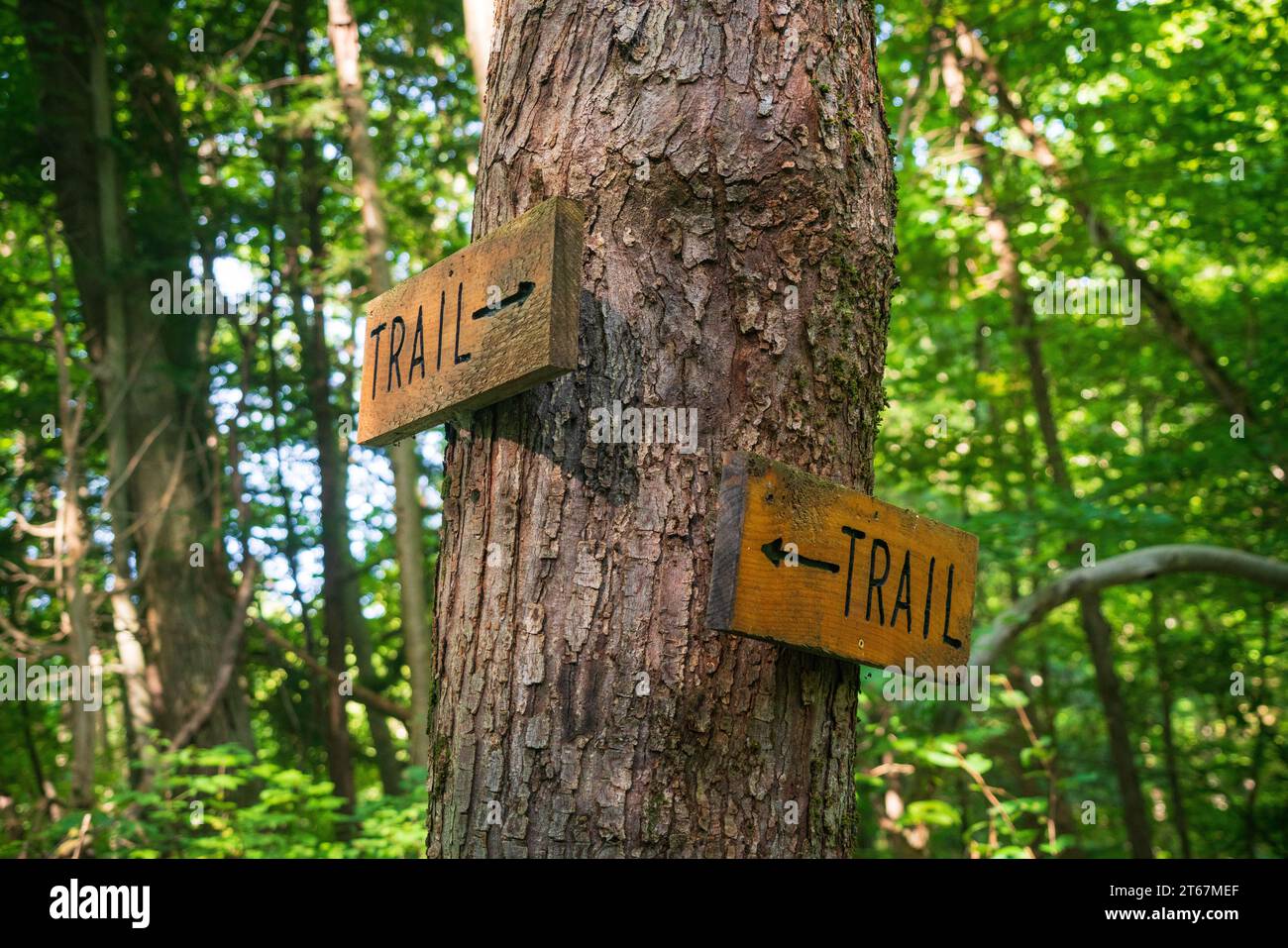 The Hinchcliff Family Preserve in Upstate New York Stock Photo - Alamy