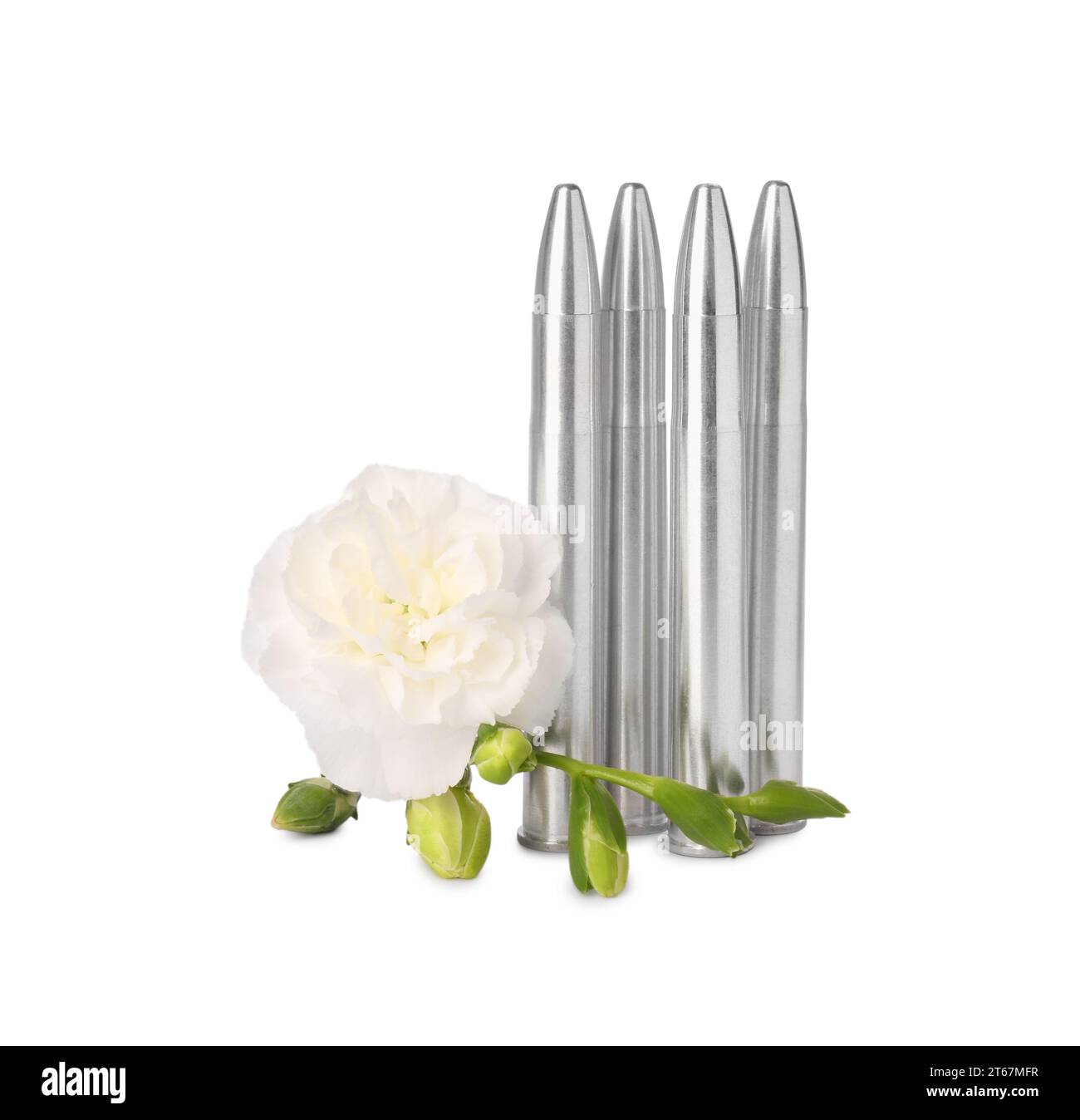 Bullets and beautiful flower isolated on white Stock Photo - Alamy