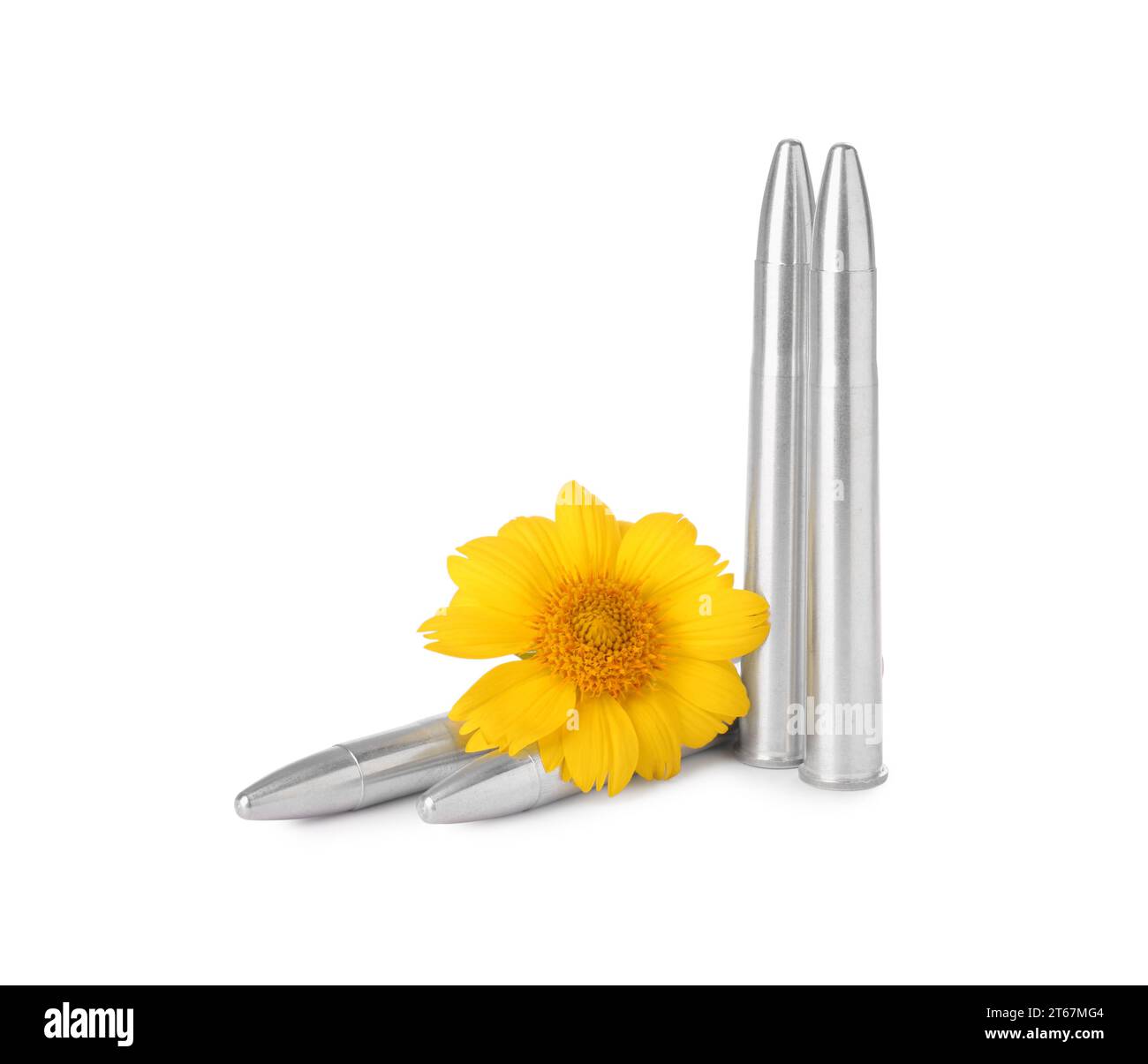 Bullets and beautiful flower isolated on white Stock Photo - Alamy