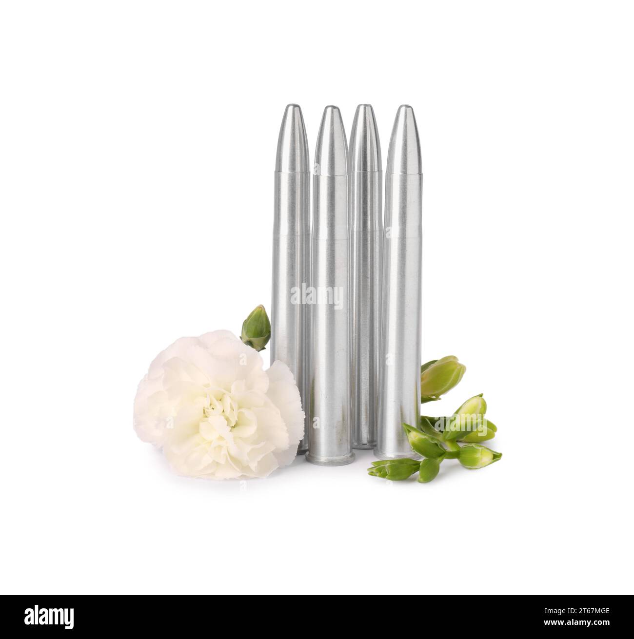 Bullets and beautiful flower isolated on white Stock Photo - Alamy