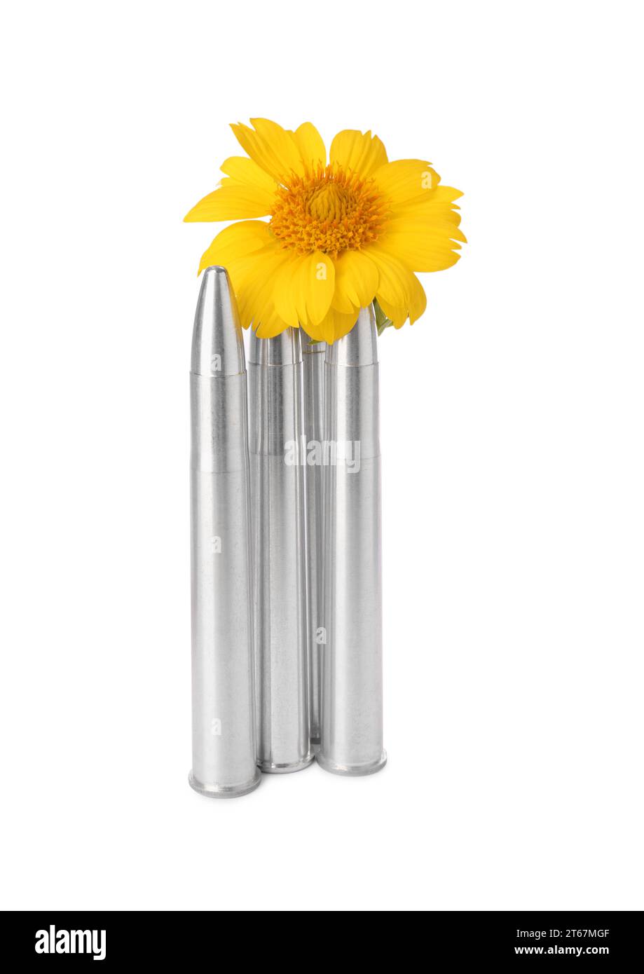 Bullets and beautiful flower isolated on white Stock Photo - Alamy