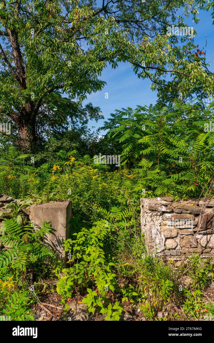 The Hinchcliff Family Preserve in Upstate New York Stock Photo - Alamy