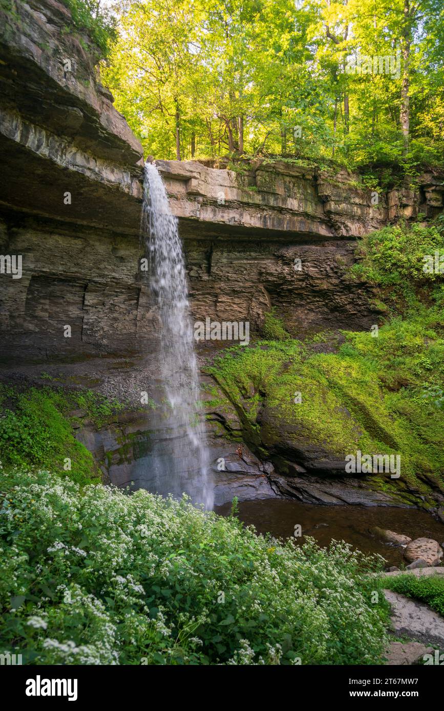 Carpenter Falls in the Finger Lakes, Niles New York Stock Photo - Alamy