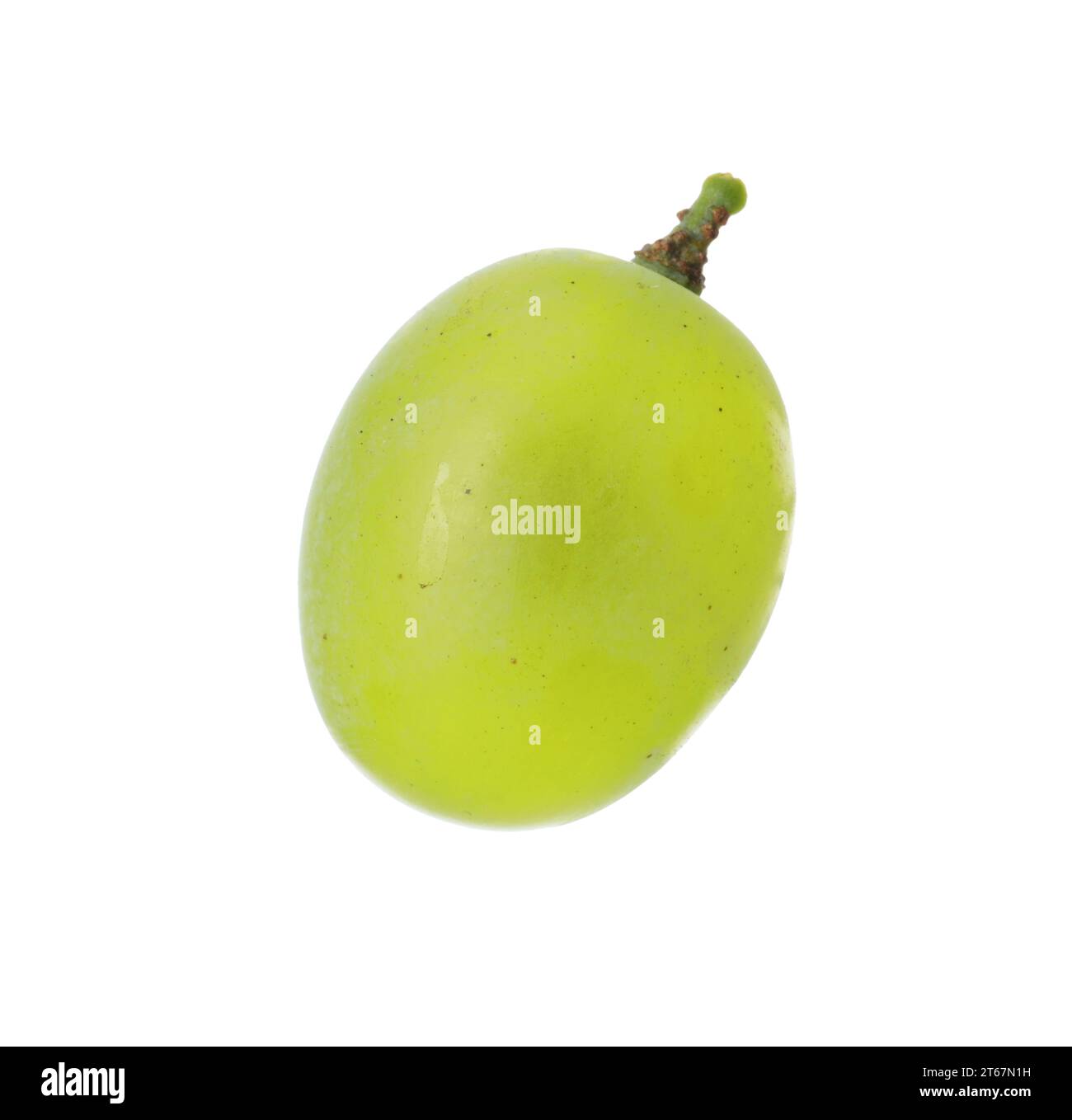 One ripe green grape isolated on white Stock Photo - Alamy