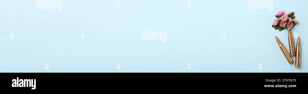 Bullets and cartridge case with beautiful chrysanthemum flowers on ...