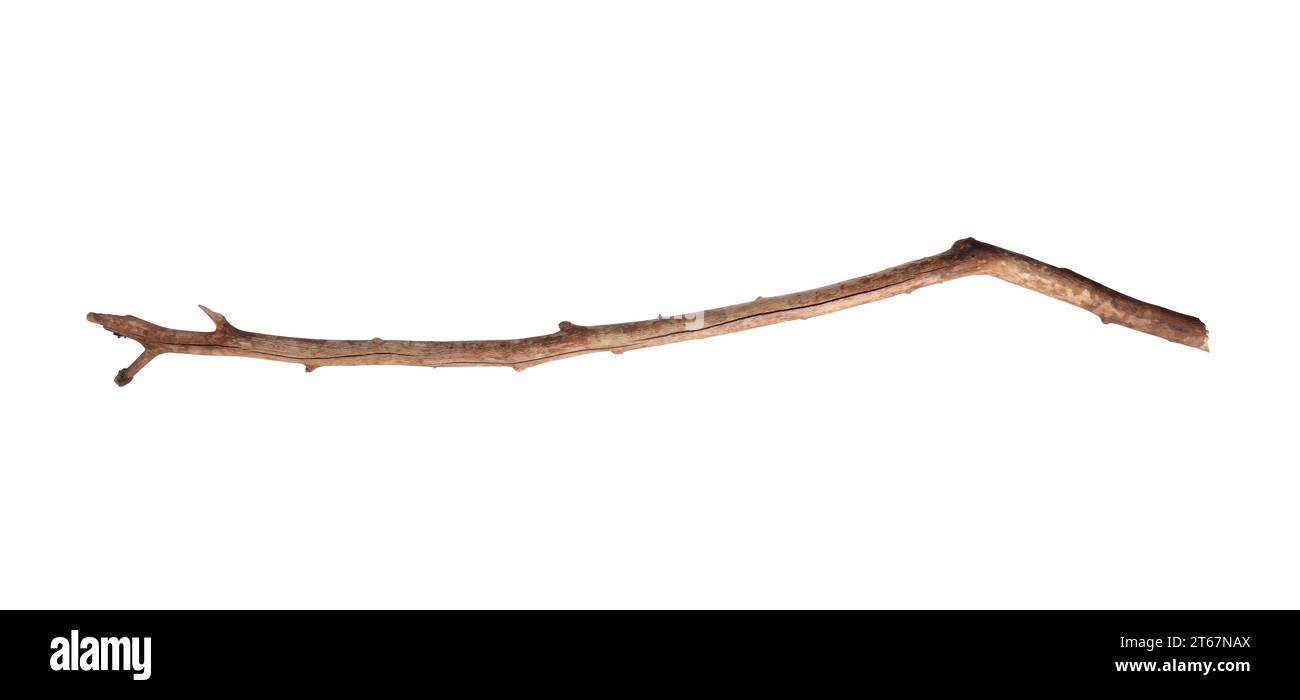 One old wooden stick isolated on white Stock Photo - Alamy